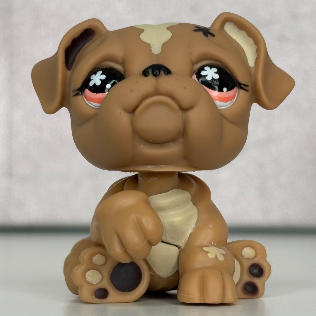 LPS – LPS Collector Shop