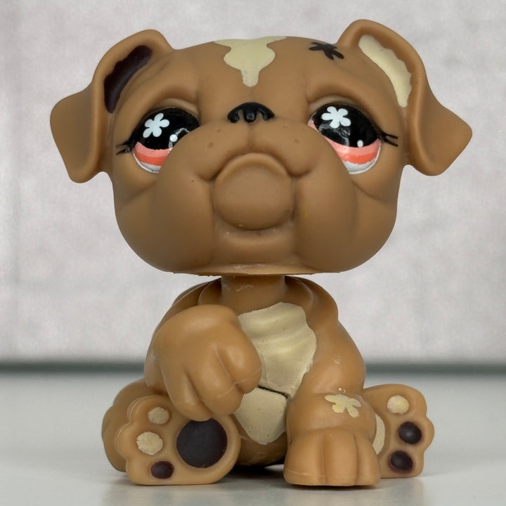 LPS – LPS Collector Shop