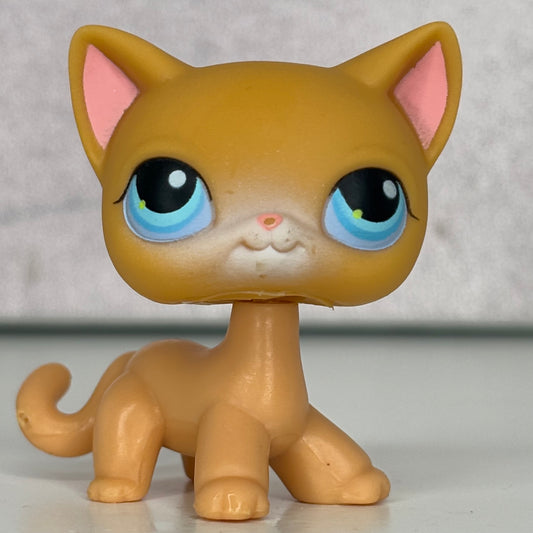 LPS Main Fives – Page 2 – LPS Collector Shop