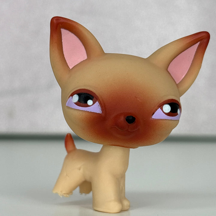 LPS – LPS Collector Shop