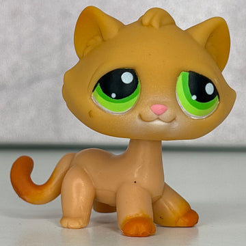 LPS Collector Shop
