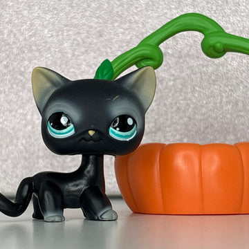 LPS COLLECTOR SHOP – LPS Collector Shop