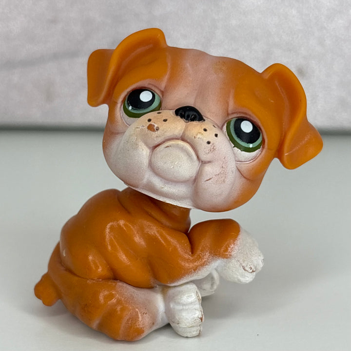 LPS COLLECTOR SHOP – LPS Collector Shop