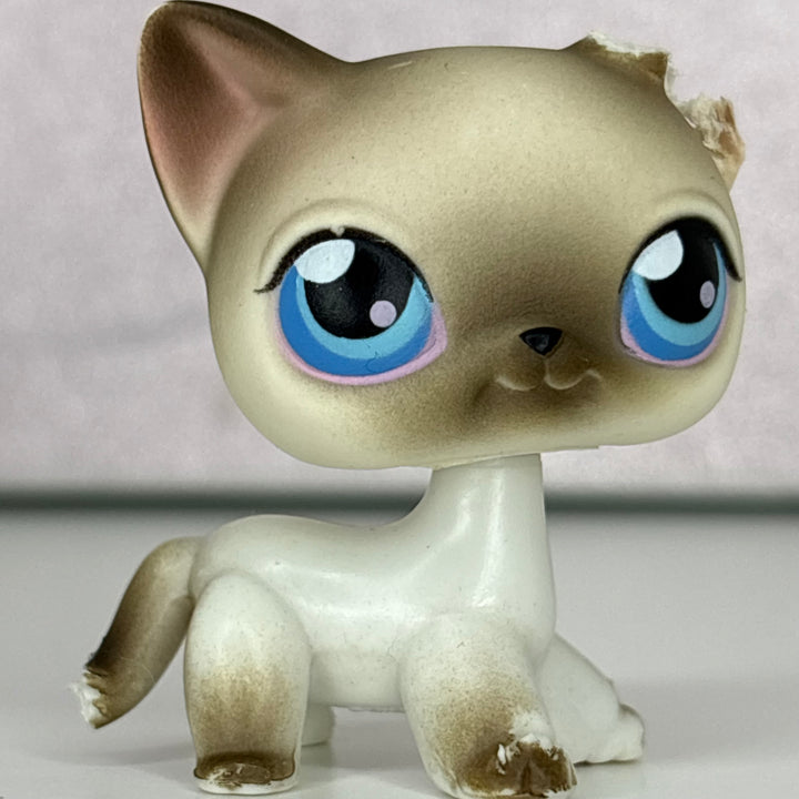 Cats – LPS Collector Shop