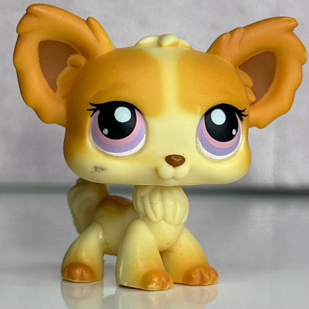 LPS COLLECTOR SHOP – LPS Collector Shop