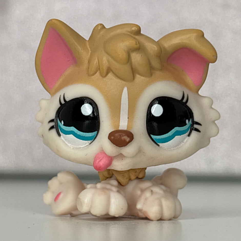 LPS – LPS Collector Shop