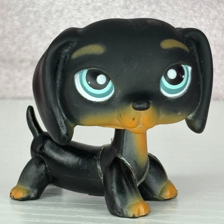 LPS COLLECTOR SHOP – LPS Collector Shop