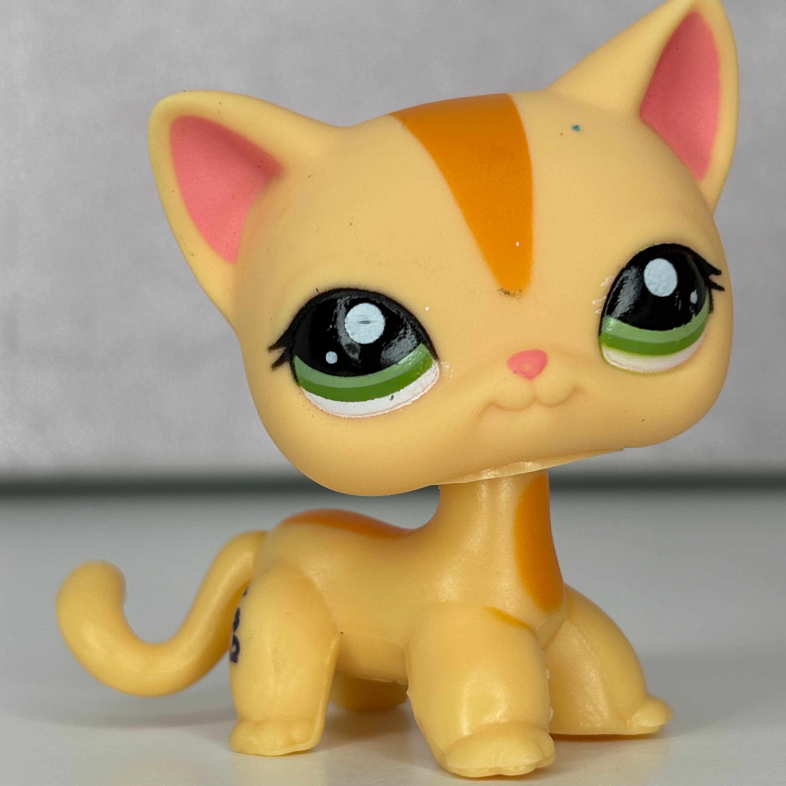 LPS Shorthair Cat – LPS Collector Shop