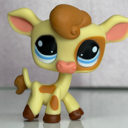 Collections – LPS Collector Shop