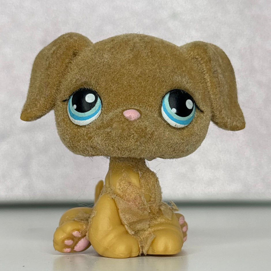 LPS Collector Shop