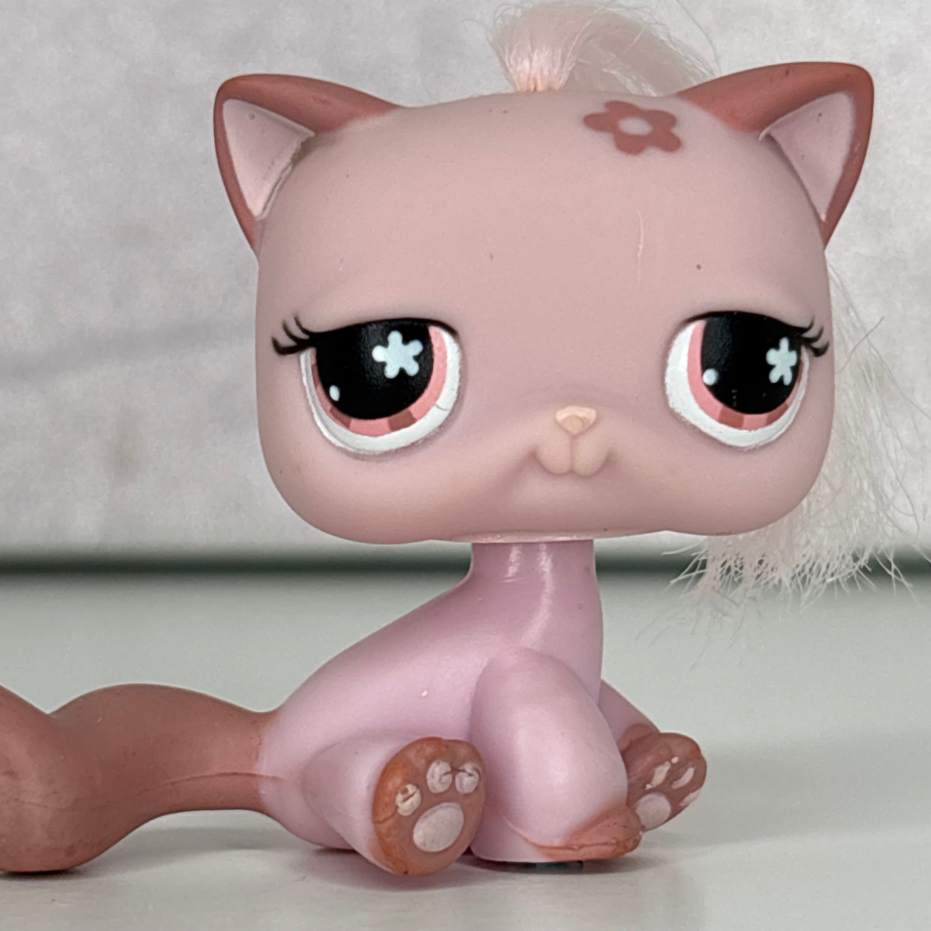 LPS Sitting Shorthair Cat – LPS Collector Shop