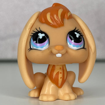 LPS – LPS Collector Shop