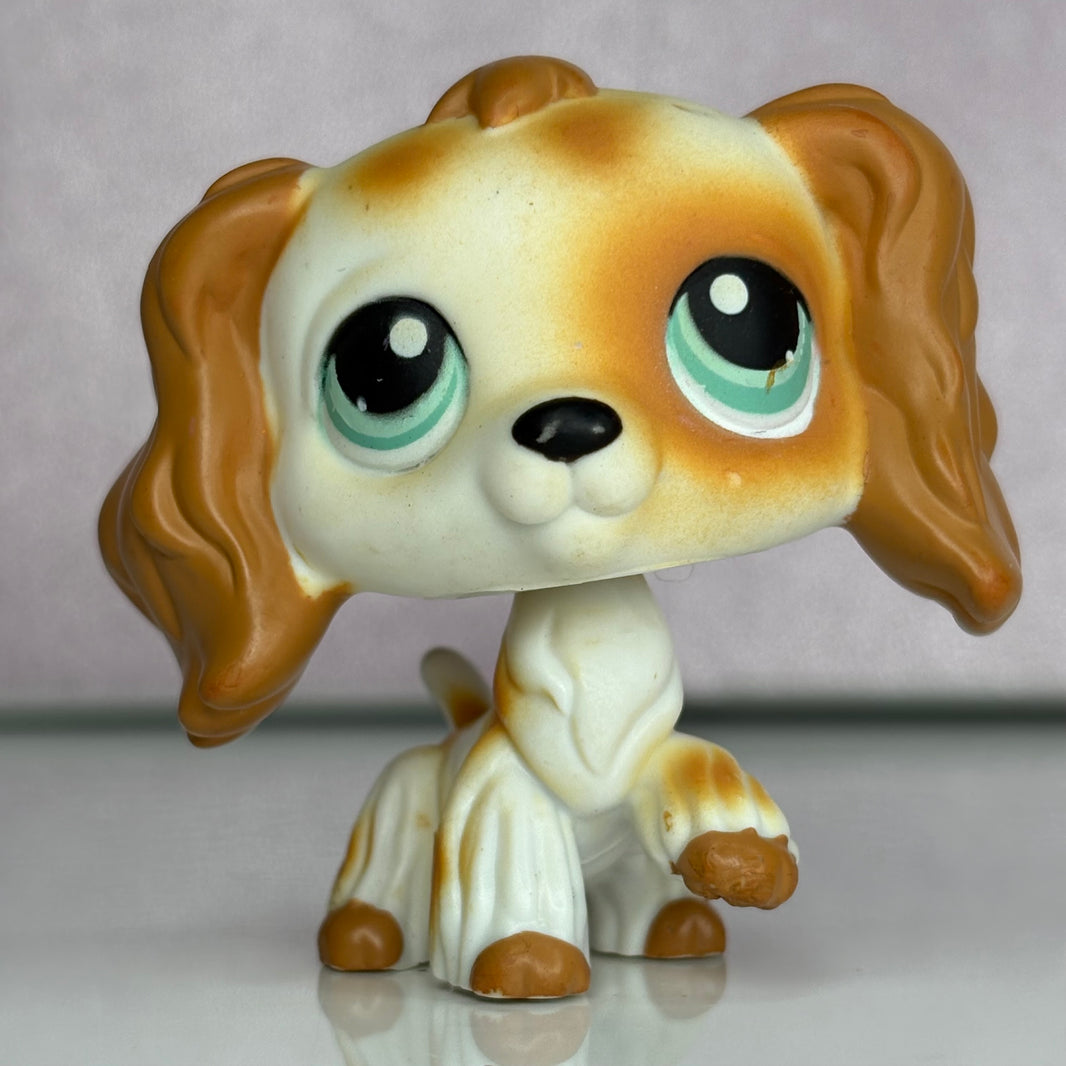 LPS COLLECTOR SHOP – LPS Collector Shop