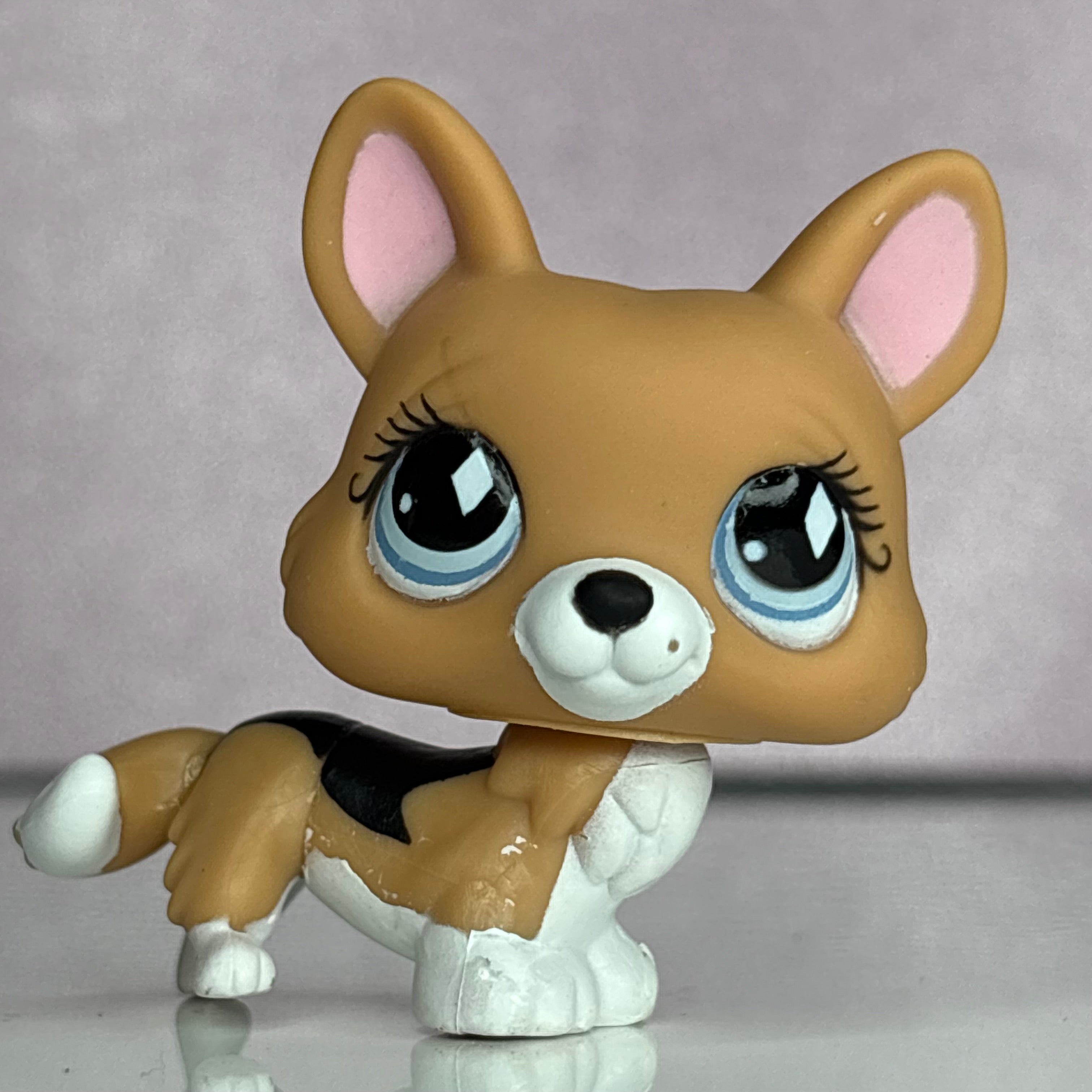 LPS Corgi Dog #639 – LPS Collector Shop