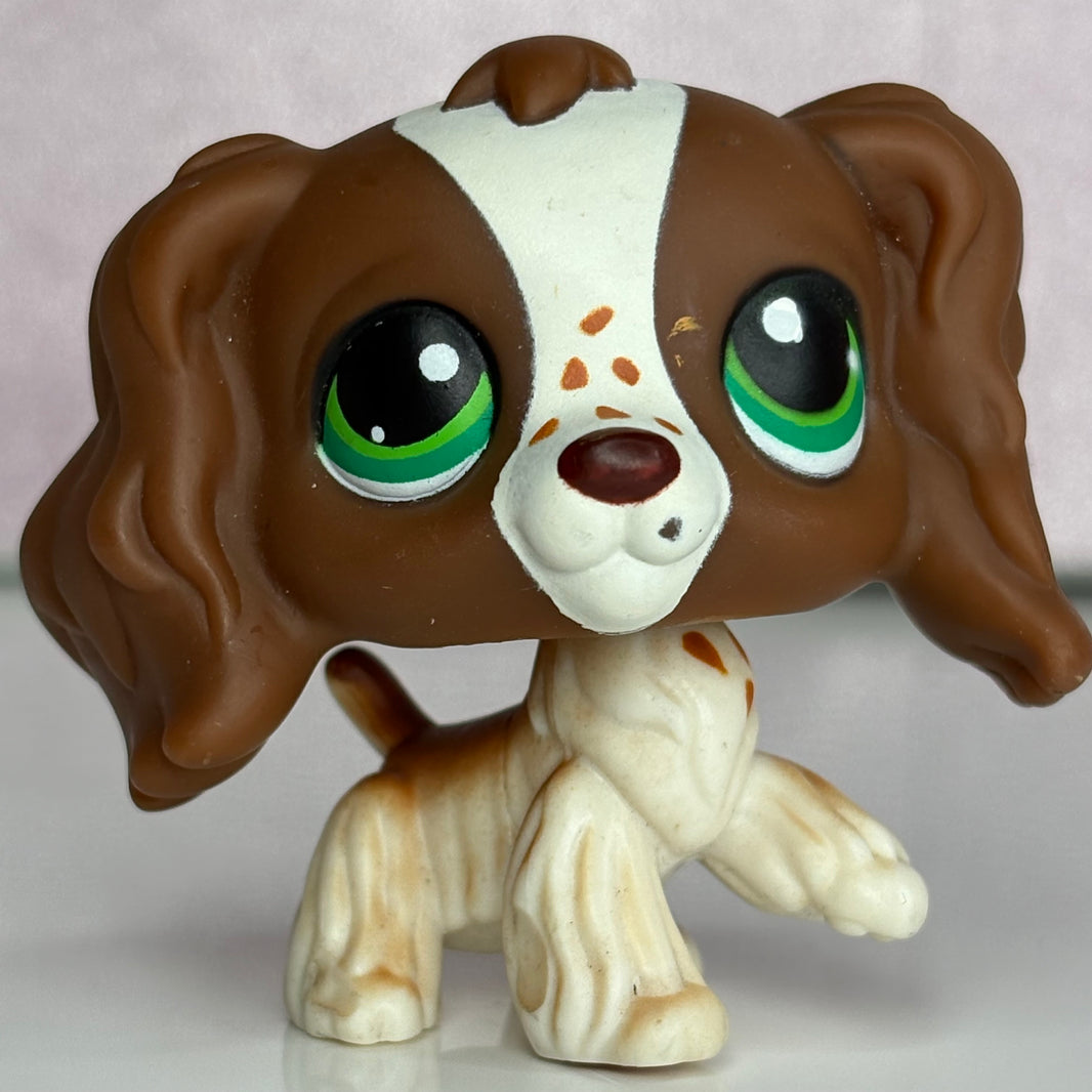 LPS COLLECTOR SHOP – LPS Collector Shop