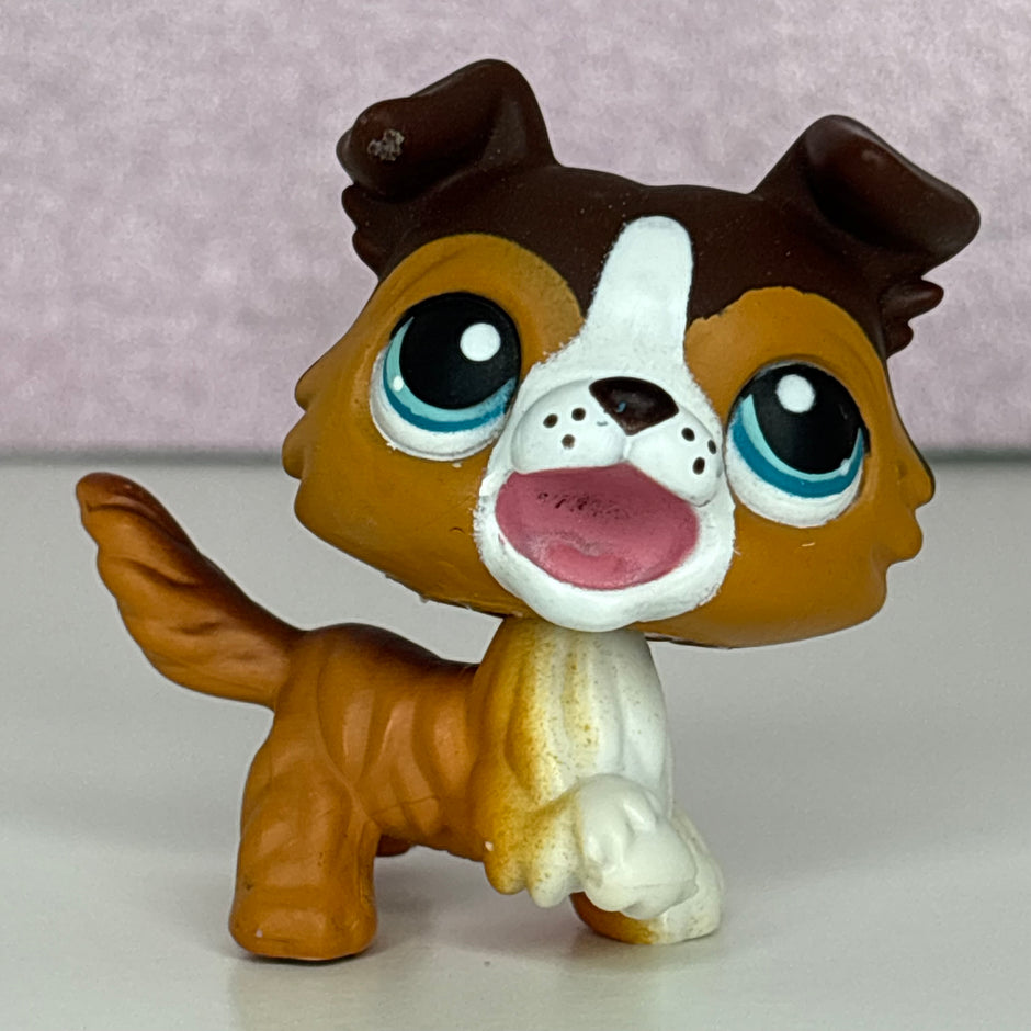 LPS COLLECTOR SHOP – LPS Collector Shop