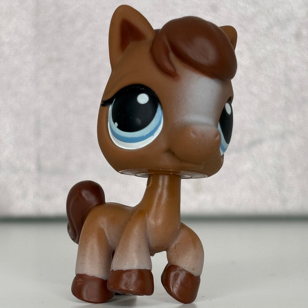 Collections – LPS Collector Shop