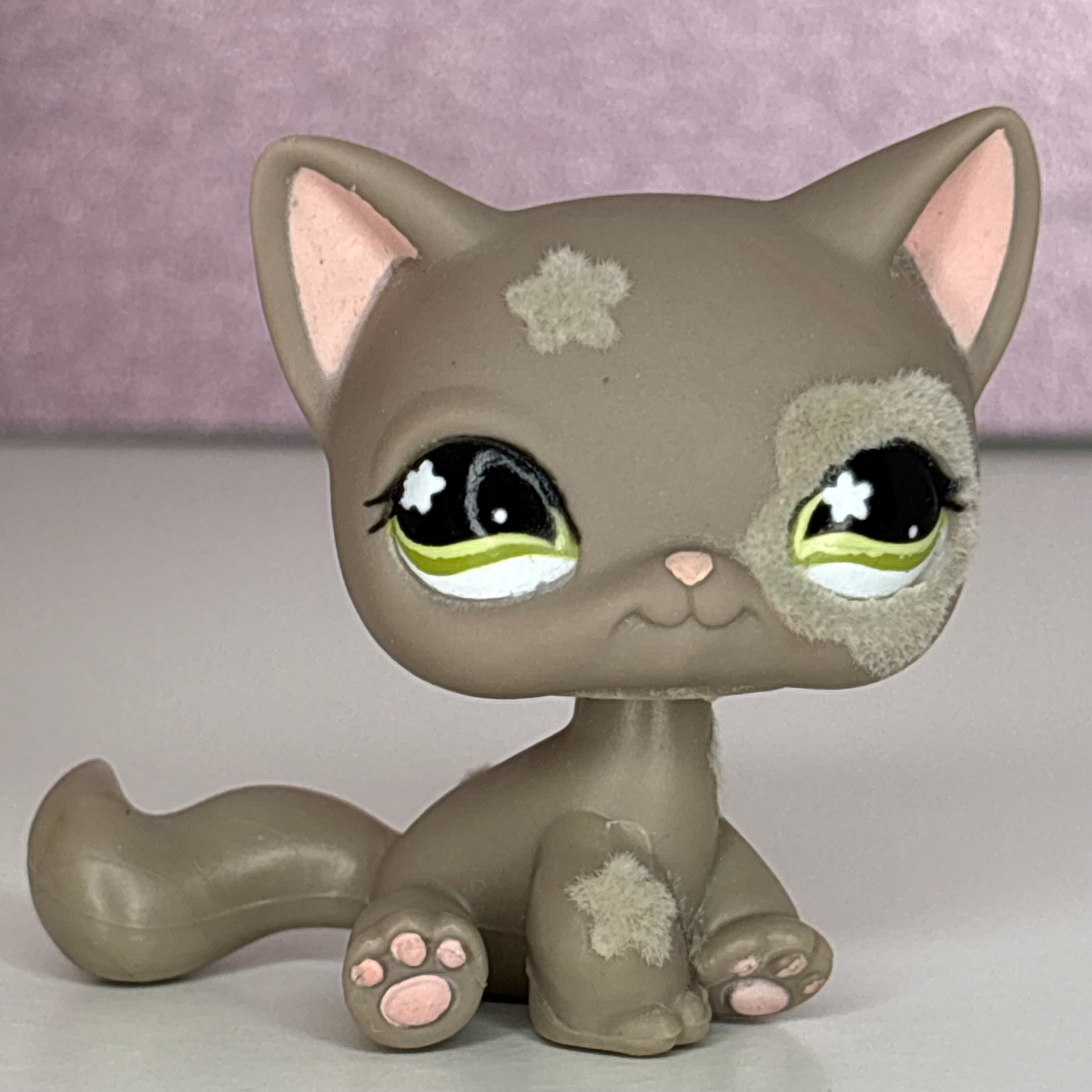 LPS Fuzzy Sitting Shorthair Cat #467 – LPS Collector Shop